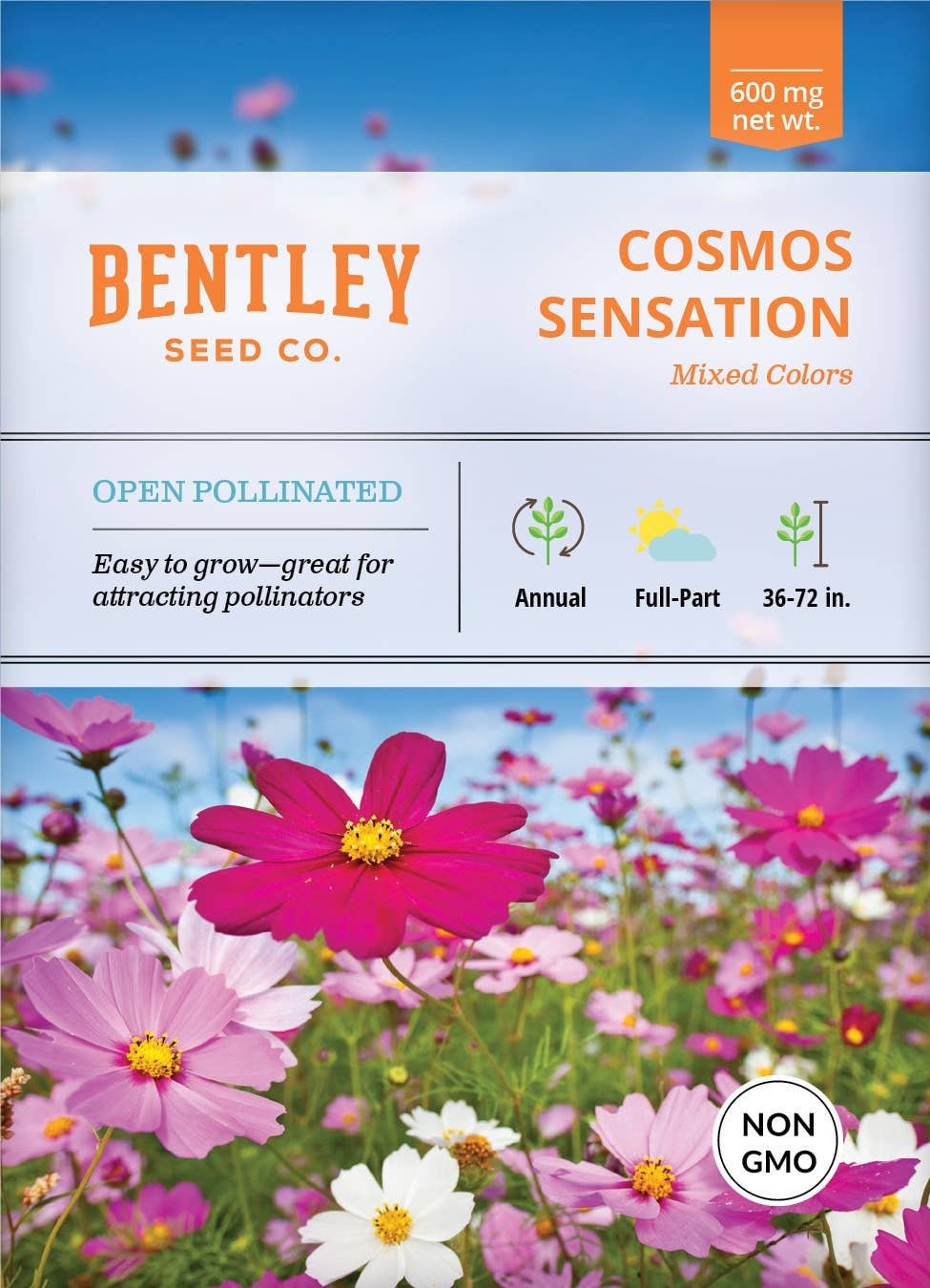 Bentley Seed Co. - Cosmos Sensation-Mixed Colors-Cosmos Bipinnatus ...
