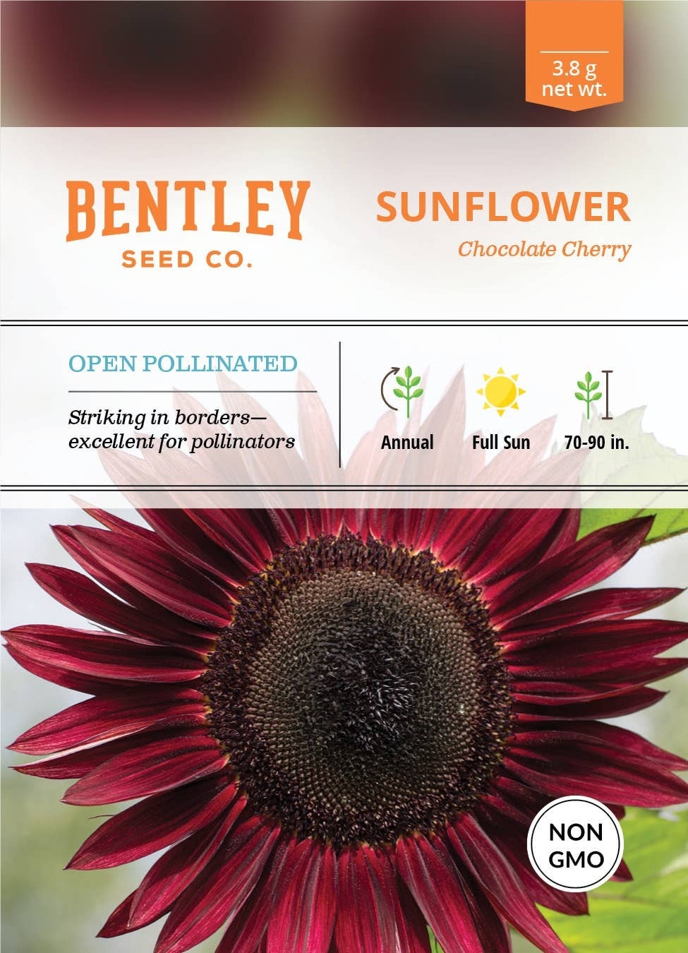 Bentley Seed Co. - Sunflower, Chocolate Cherry Seed Packets | WORKSHOP PGH