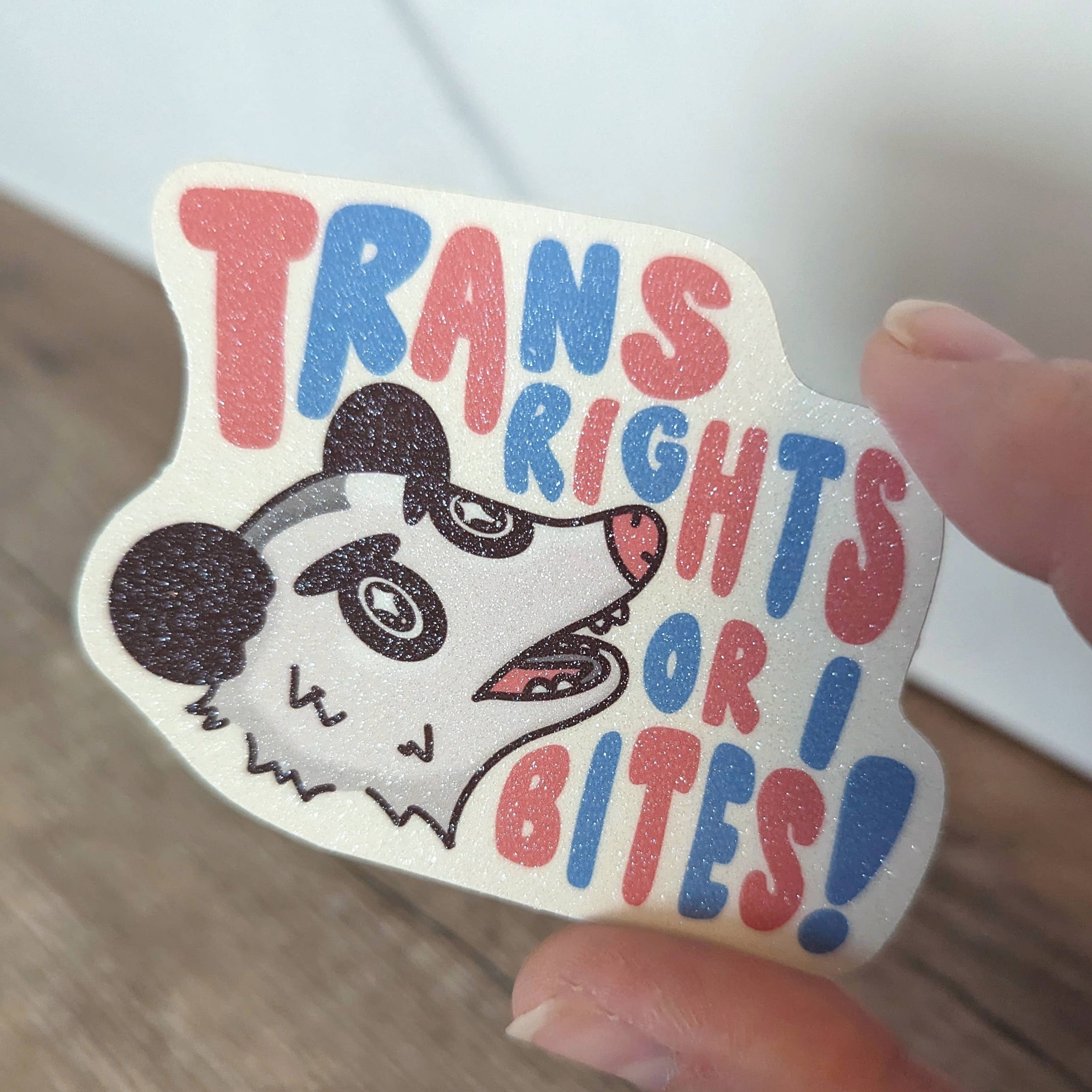 The Sadsquatch - Trans Rights or I Bites - Cute Glitter Possum Vinyl ...