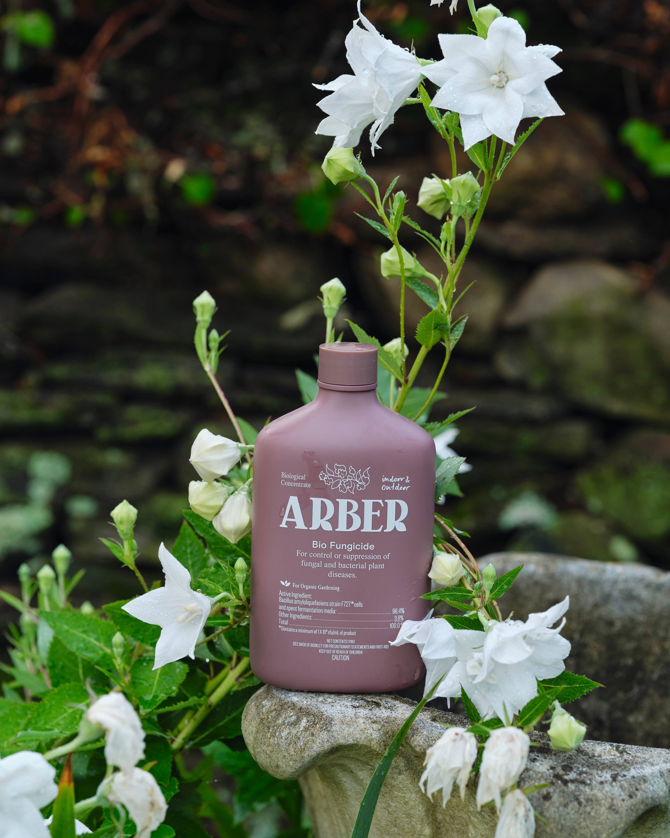 Arber - Organic Arber Bio Fungicide 8oz | WORKSHOP PGH