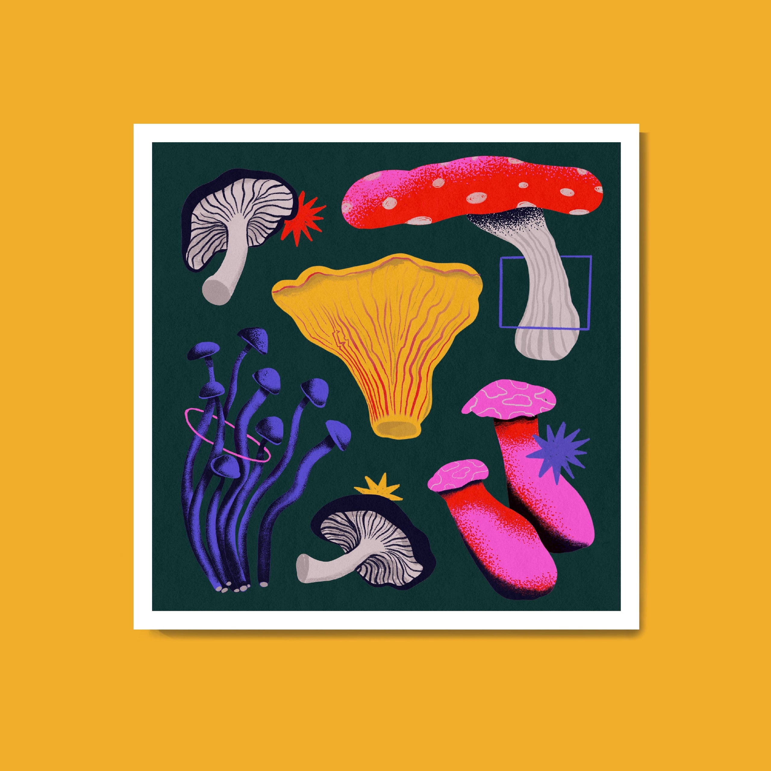 Cathy Hogan Illustration - Magic Mushrooms Print | WORKSHOP PGH
